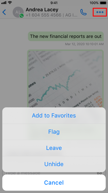 Managing WhatsApp Business Conversations